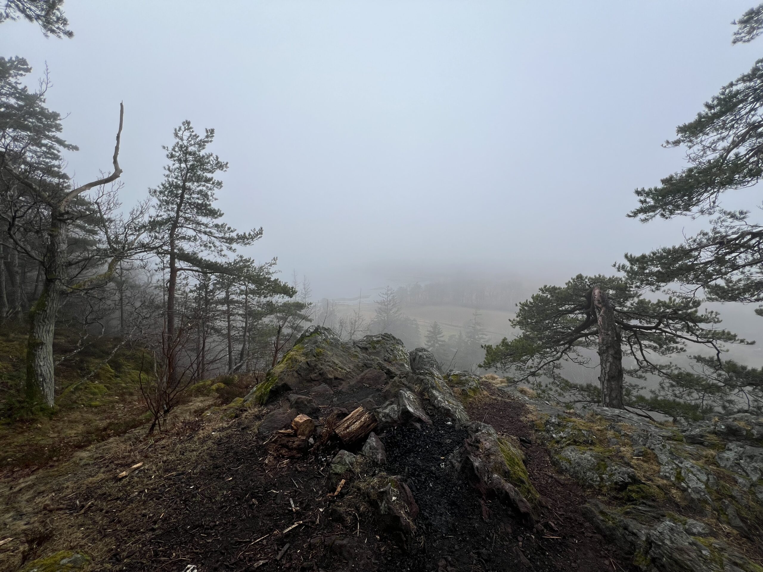 Soundwalk: Brona Martin - Momentum